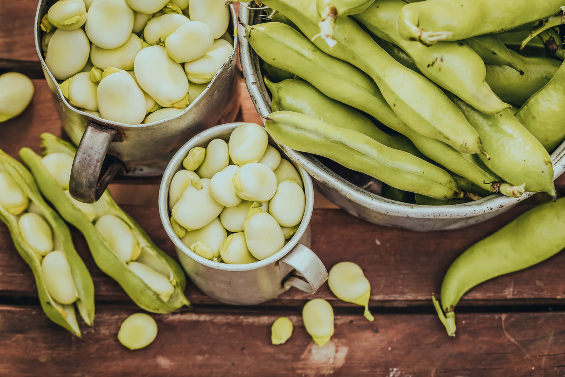 Broad Beans Explained: Nutrition, Growing Guide & Harvesting Tips