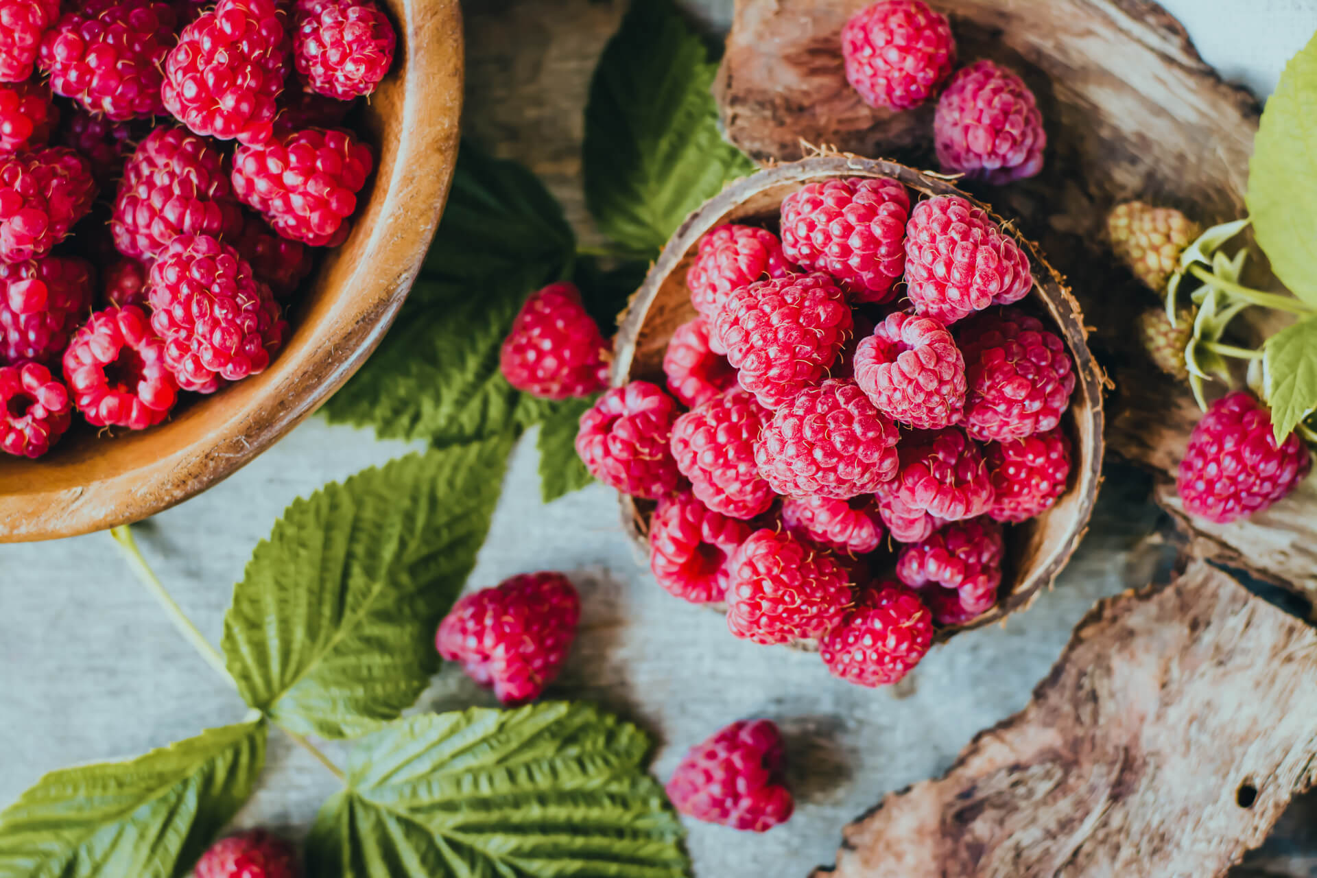 How to Grow, Harvest and Enjoy the Health Benefits of Raspberries