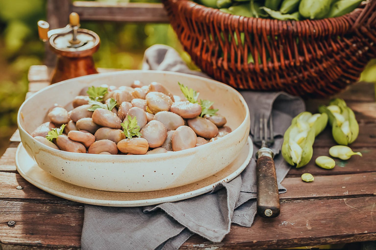 Broad Beans Explained: Nutrition, Growing Guide & Harvesting Tips