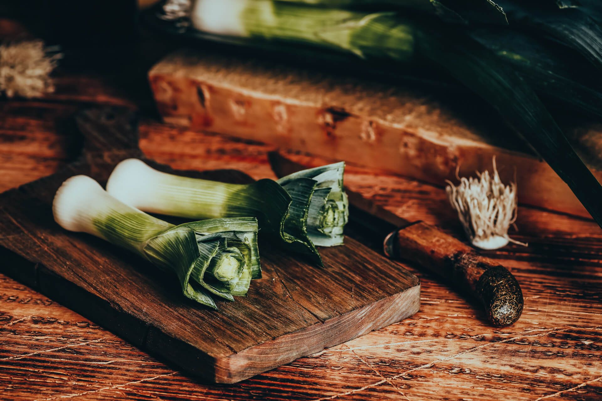 Leeks: A Versatile, Nutrient-Rich Crop with Surprising Benefits