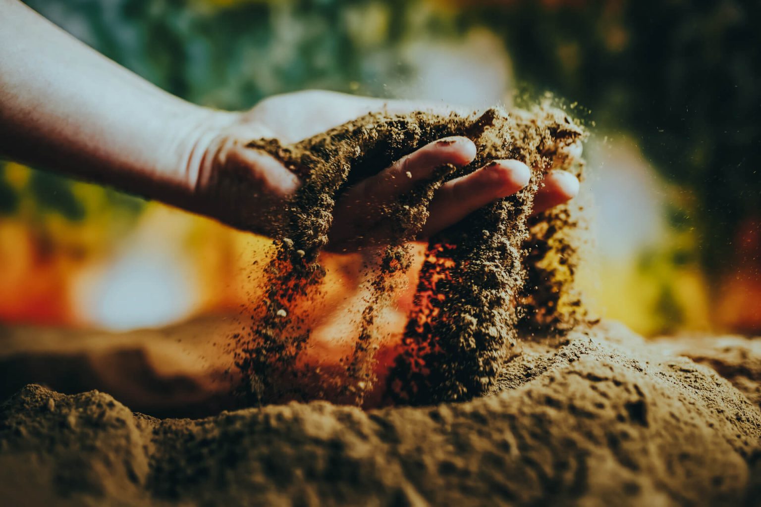 Pedology: Soil Formation, Layers, Properties & Management Insight