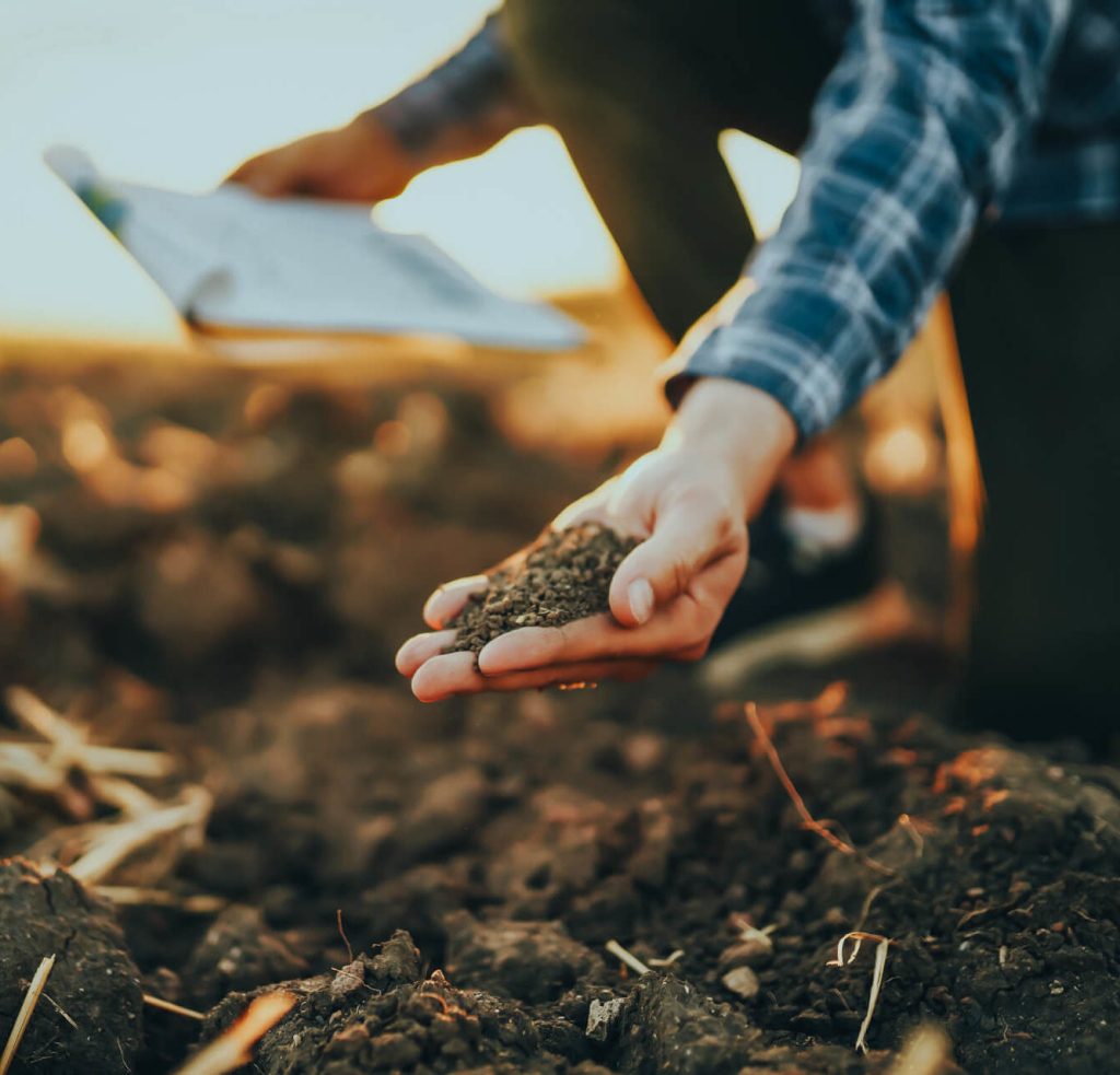 Pedology: Soil Formation, Layers, Properties & Management Insight