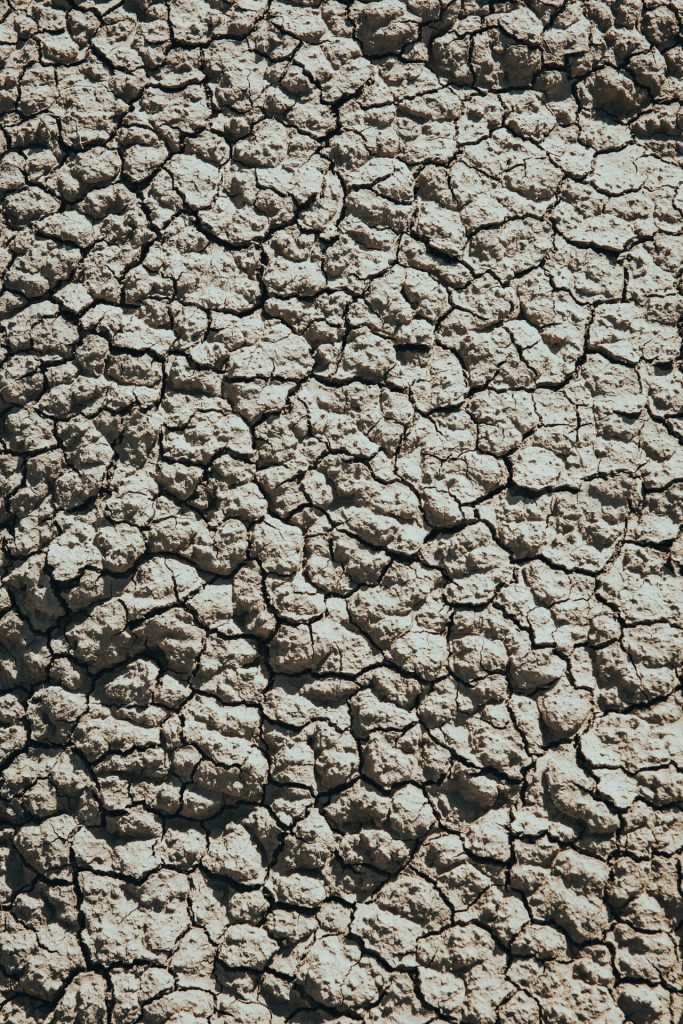 Pedology: Soil Formation, Layers, Properties & Management Insight