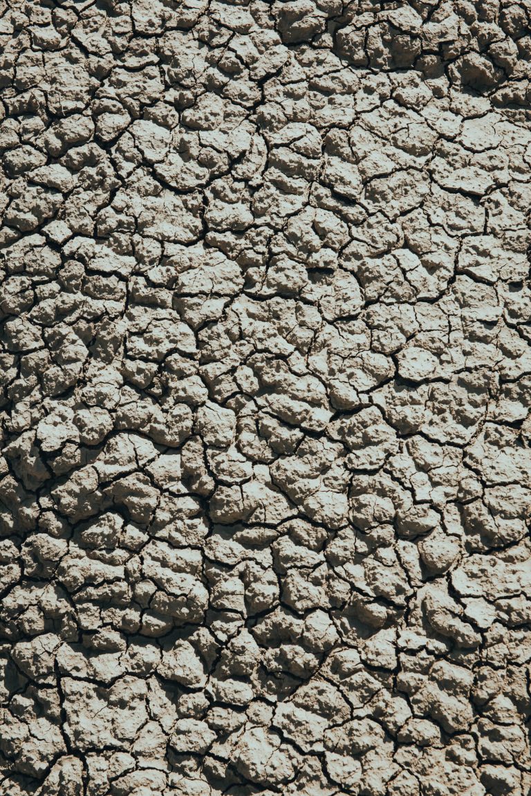 Pedology: Soil Formation, Layers, Properties & Management Insight