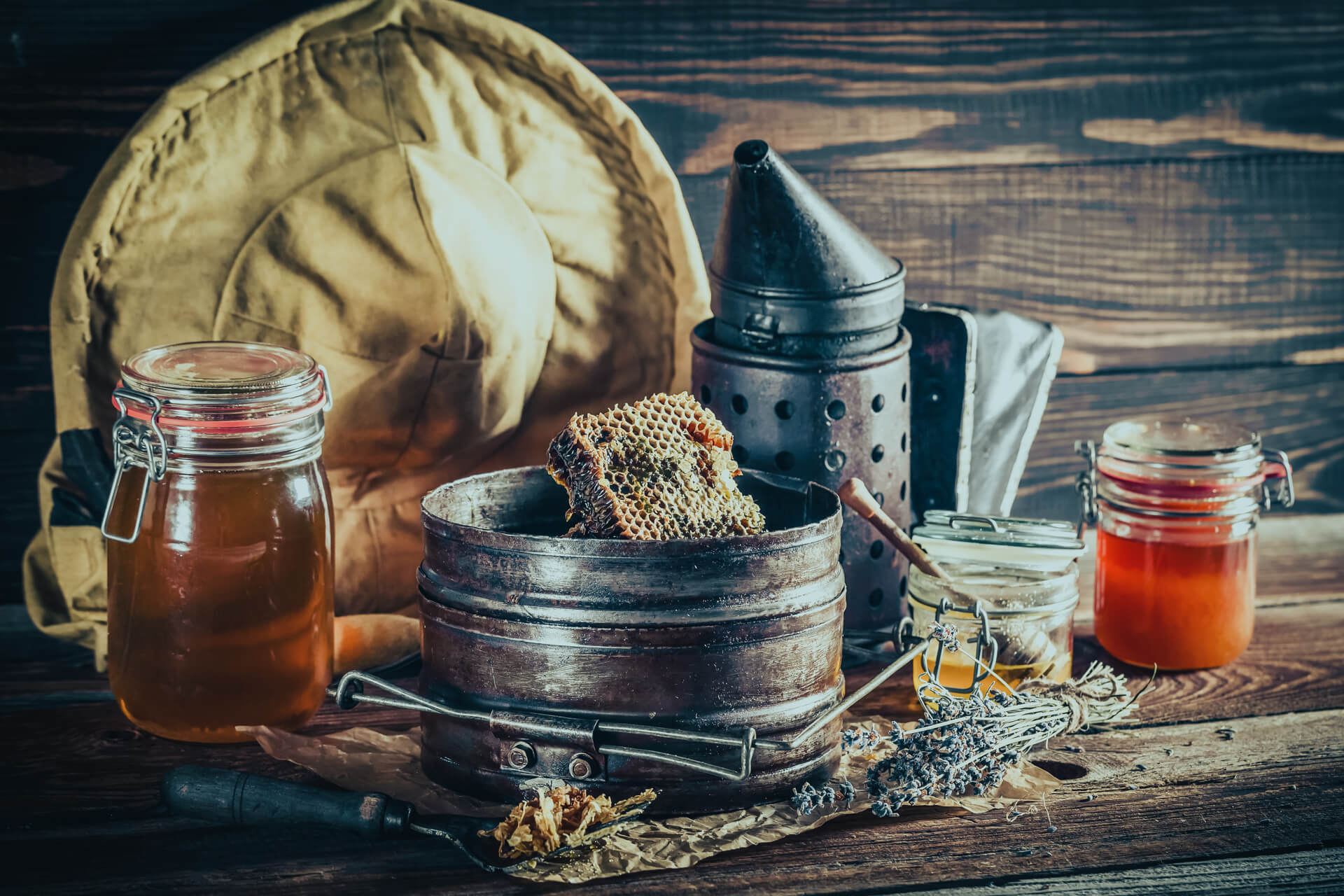 9 Must-Have Tools: Beginner's Guide to Beekeeping Equipment • One ...